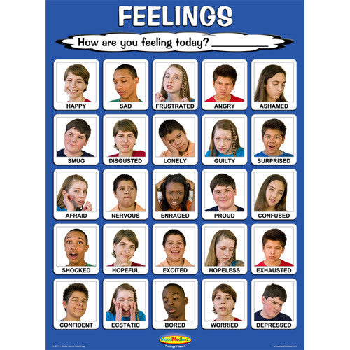 Laminated Teen Feelings Poster 18 x 24 inches Childswork/Childsplay ...